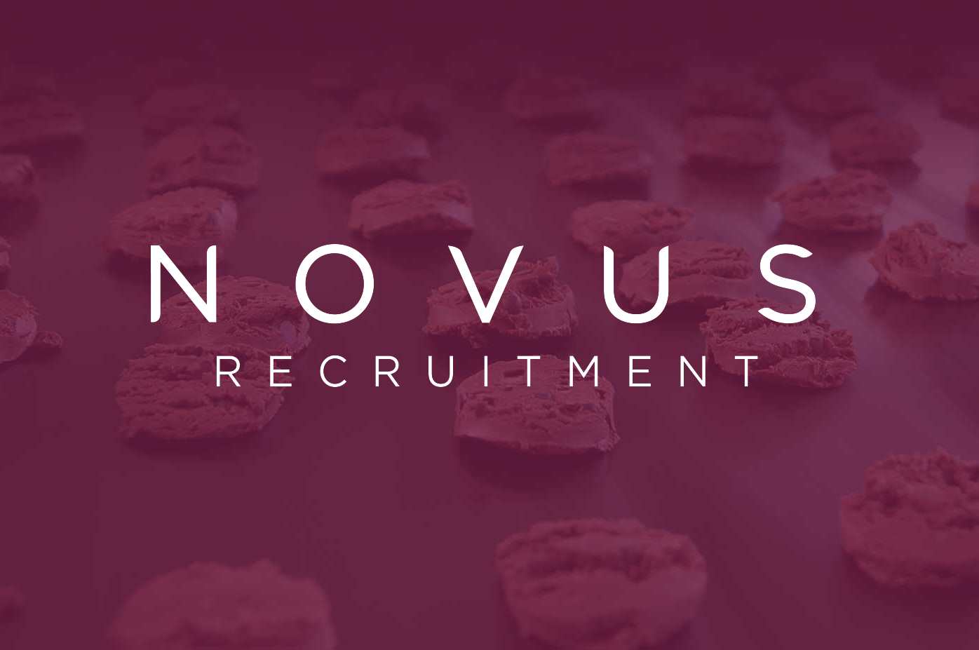 Job listing - Novus Recruitment